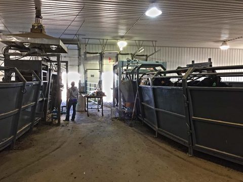 About Us - Red Coat Cattle Feeders